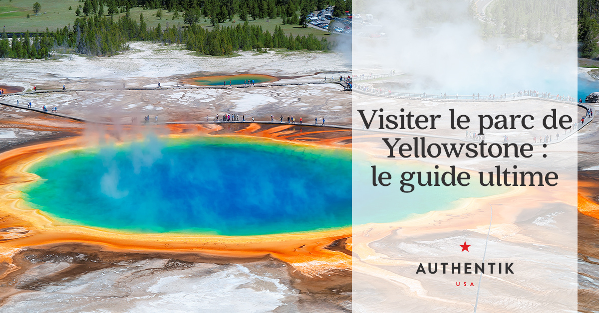 Visiter le parc de Yellowstone : le guide ultime