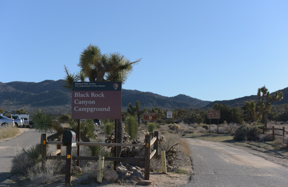 Black Rock Campground - Joshua Tree National Park