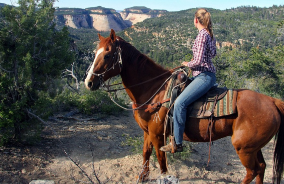 Zion Ponderosa Campground, Orderville : Rates, photos and reviews
