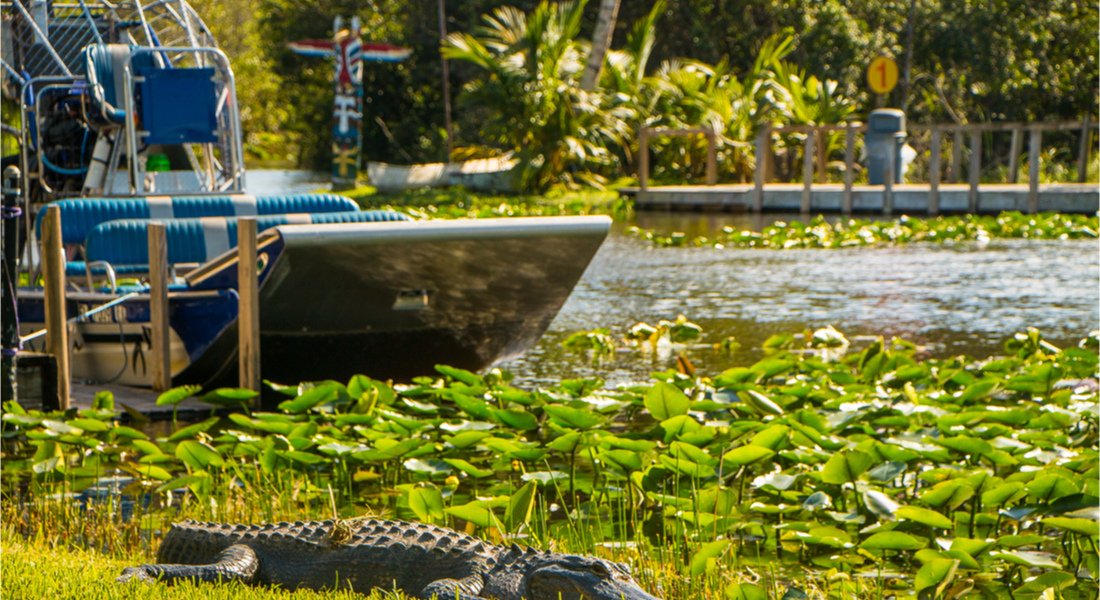 Top 5 alligator watching spots in Louisiana